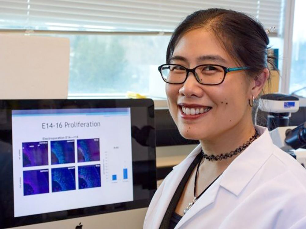 Calgary researcher connects with Terry Fox-inspired cancer network ...