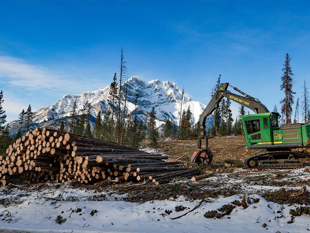 Tackling wildfires before they arrive: Mitigation underway in Banff ...
