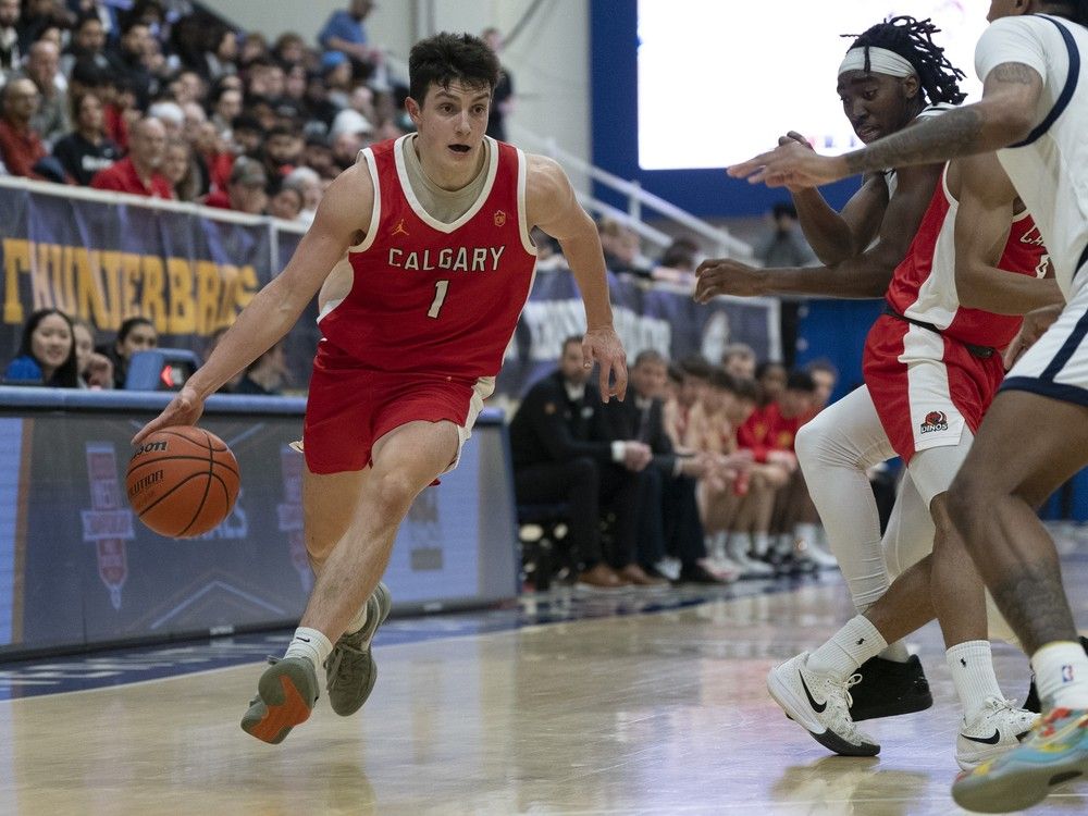 Nate Petrone's career night leads Dinos to CW men's basketball title ...