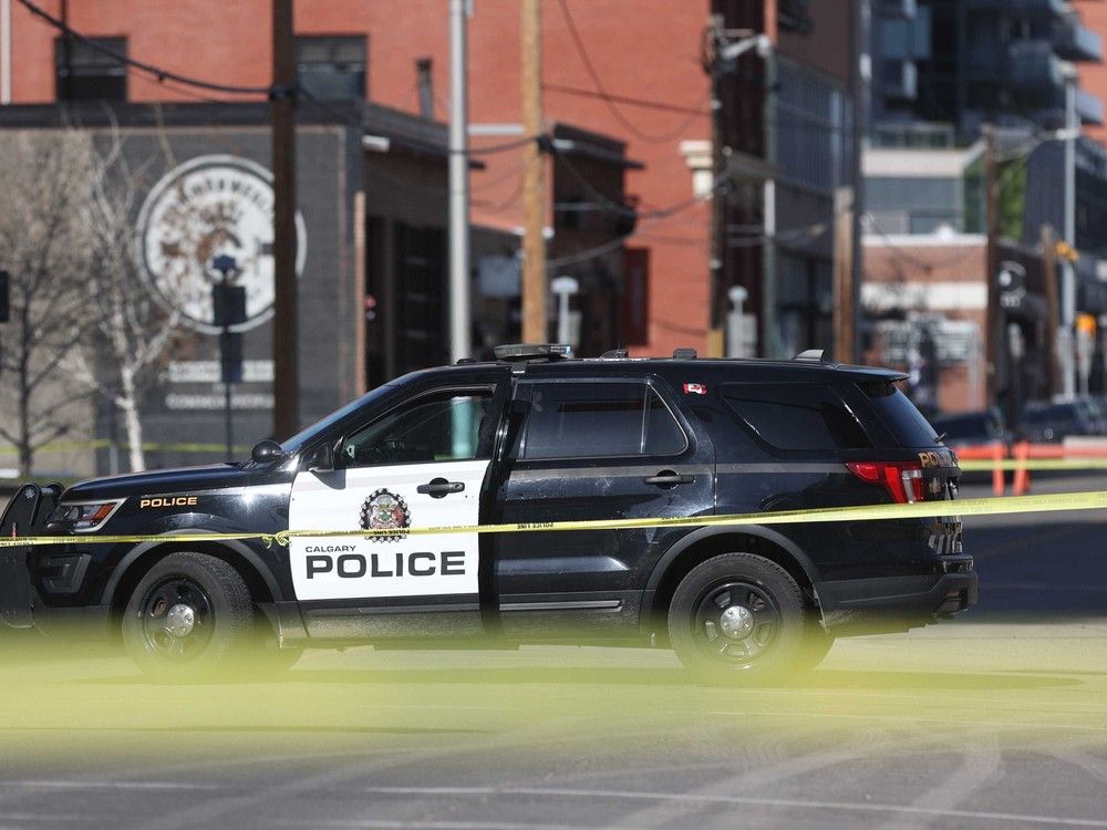 Jonas Robert Nedd Sutton identified as fatal stabbing victim | Calgary ...