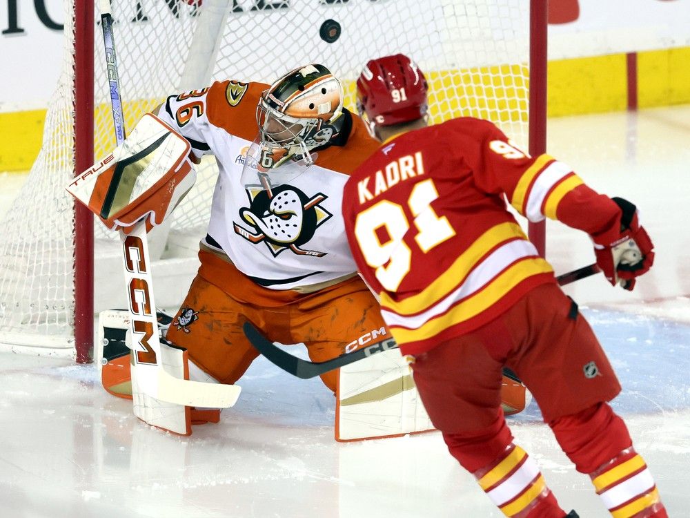 GAMEDAY: Flames aiming to complete season sweep of Ducks | Calgary Herald