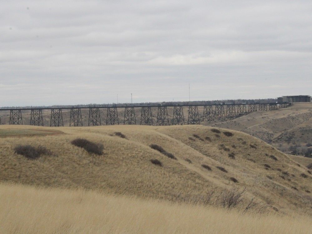 Food program at Lethbridge, Coaldale and Taber libraries during strike ...