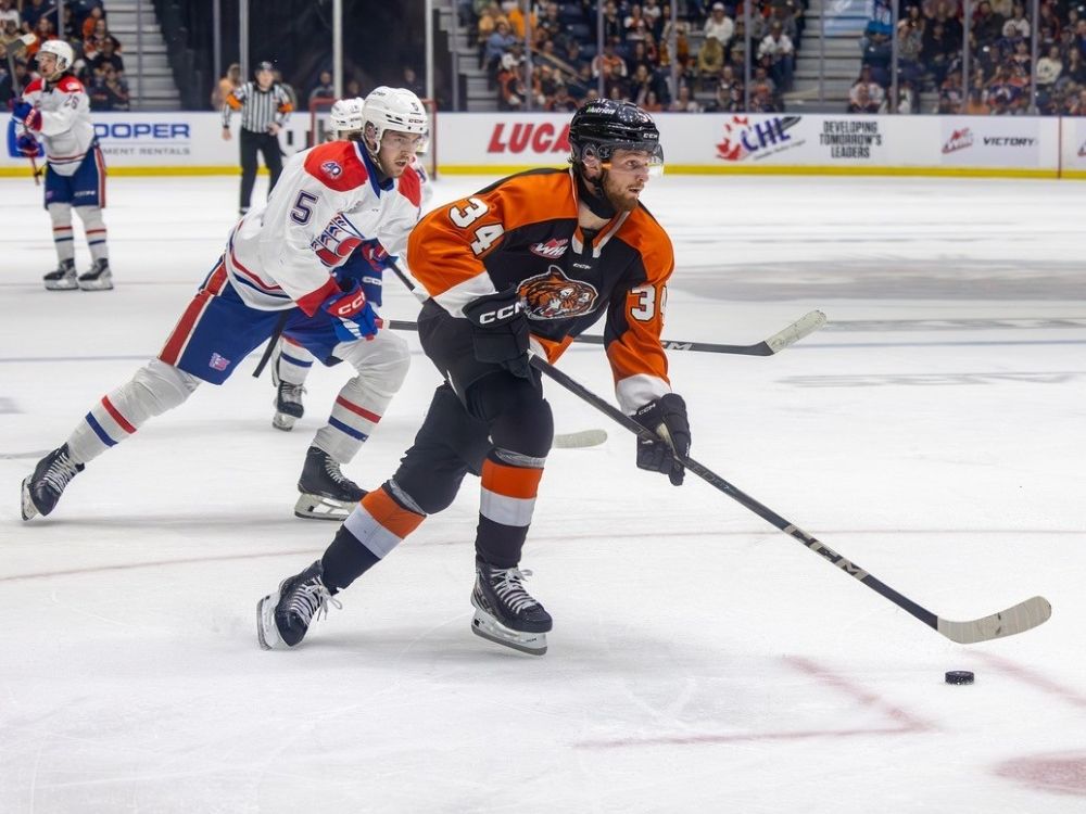 FLAMES RETOOL TRACKER: Why buzz is building for Andrew Basha | Calgary ...