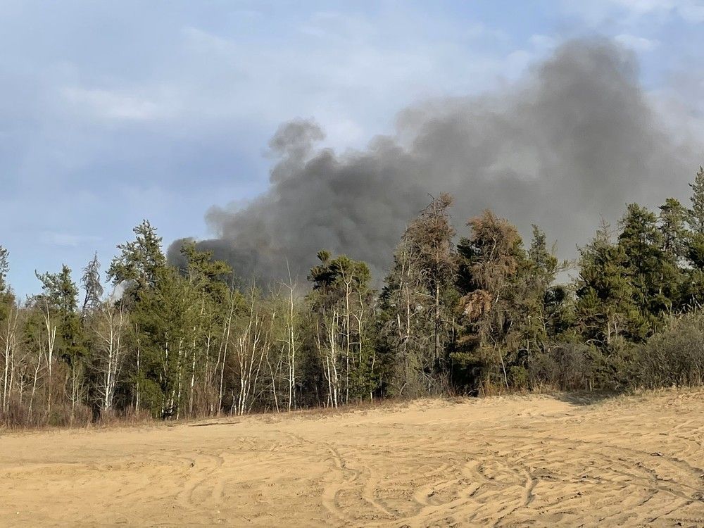 Potential for a busy fire season in southern Alberta: wildfire expert ...