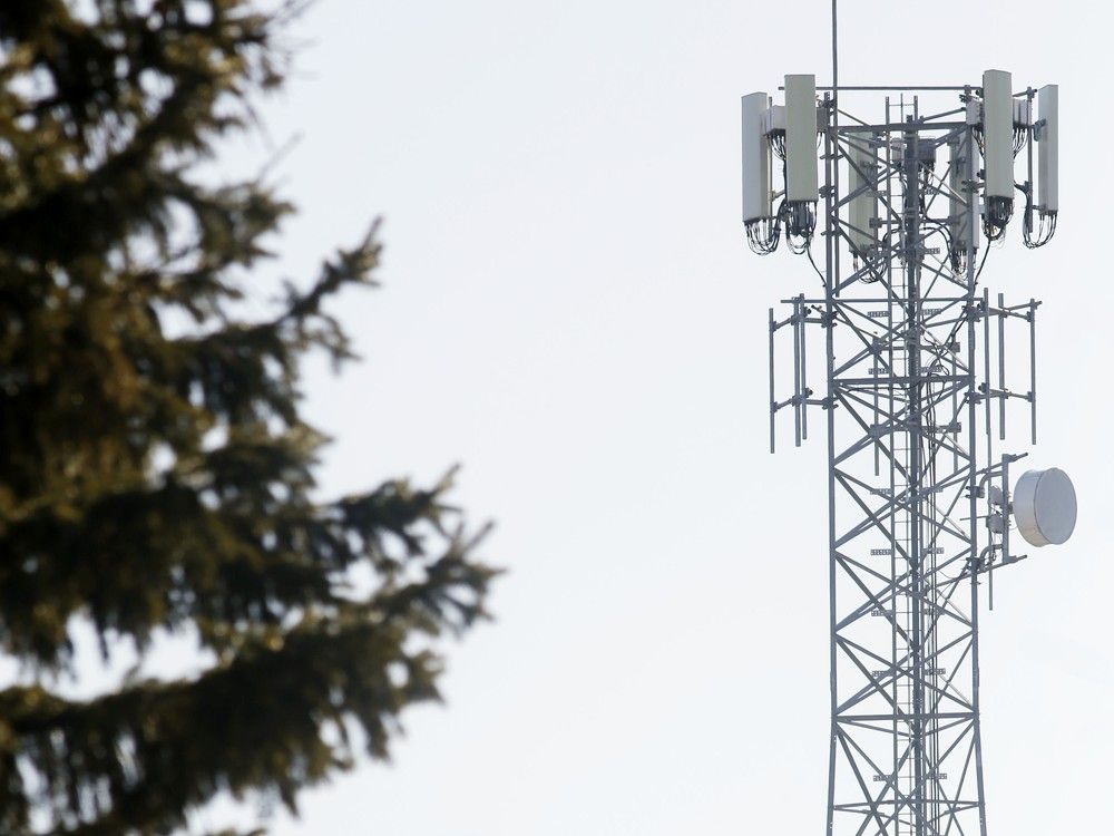 Telus, Bell, Rogers say immigration rules hinder subscriber growth ...
