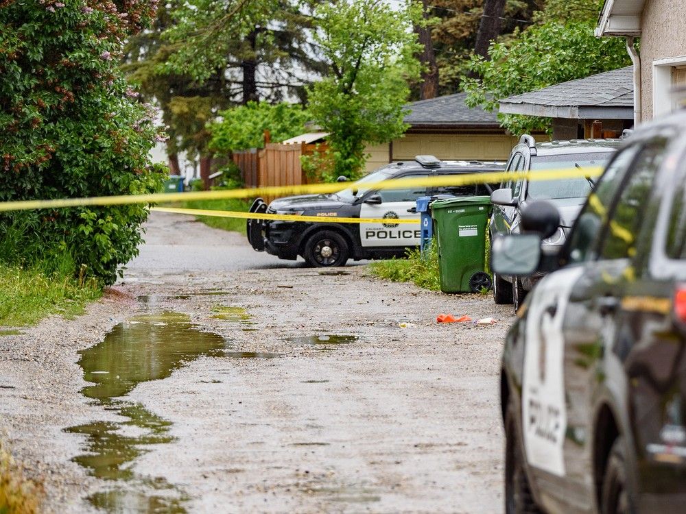 Last of alleged victims testifies at serial rape suspect's trial ...