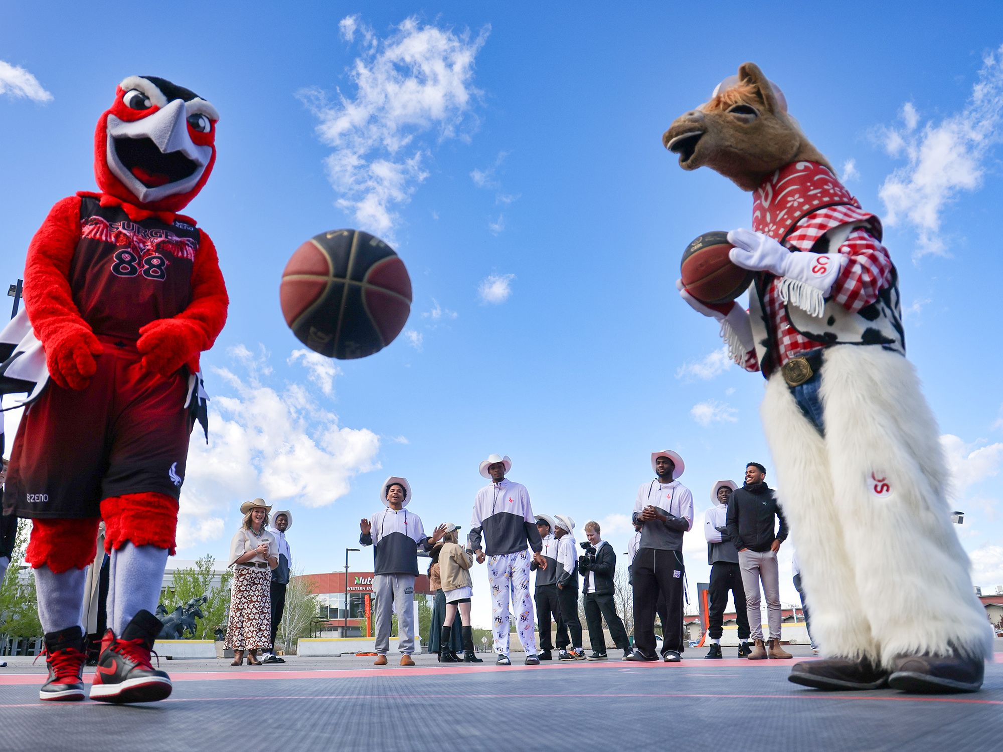 Calgary Surge set for Saddledome game during Stampede | Calgary Herald
