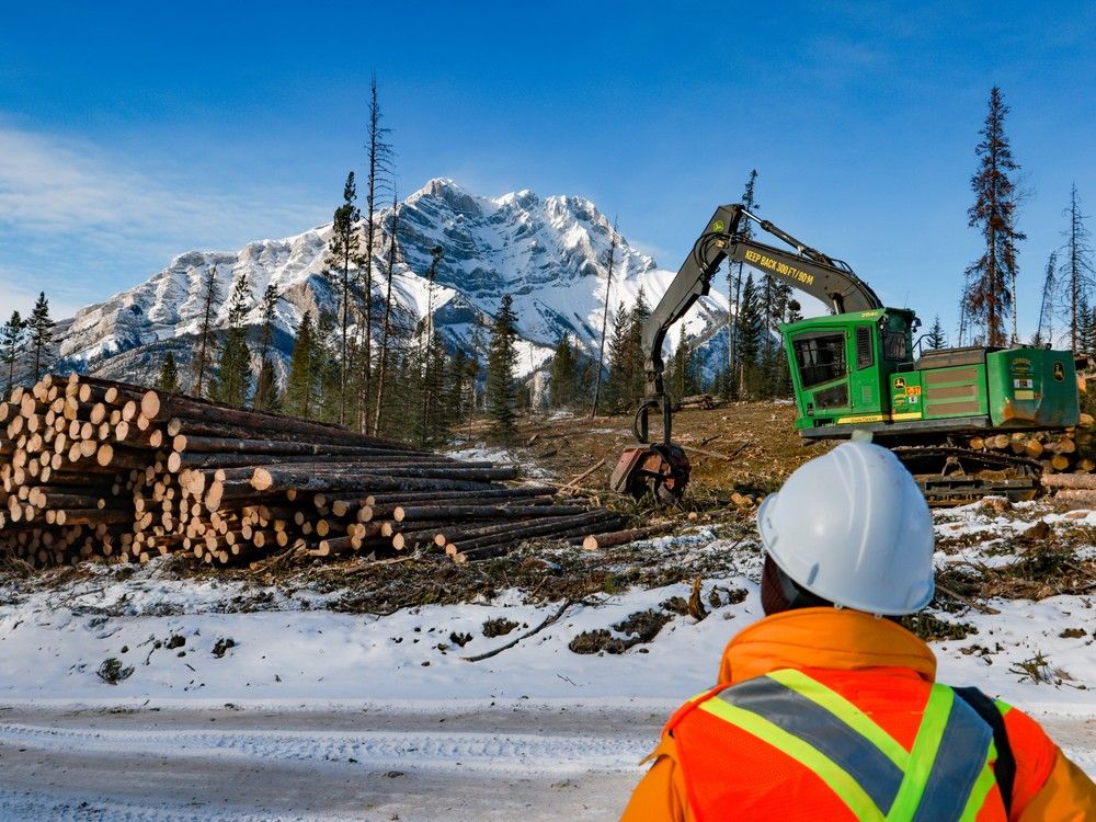 Why Banff and Bow Valley face mounting wildfire peril, experts warn ...