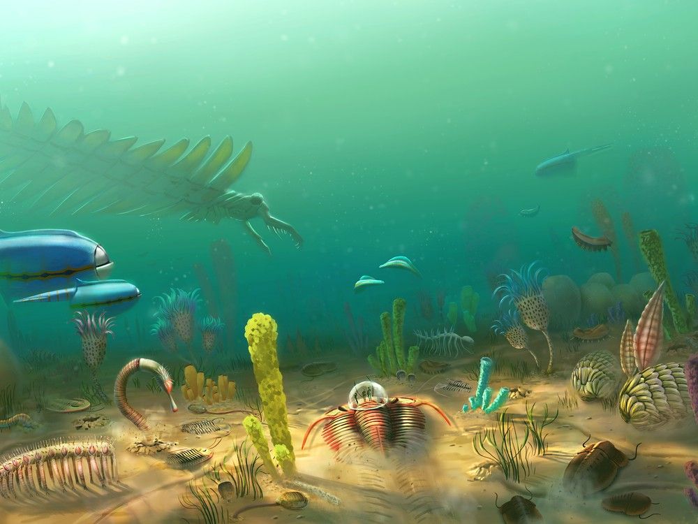 Life Chronicles is the newest VR spectacle to open at Chinook | Calgary ...