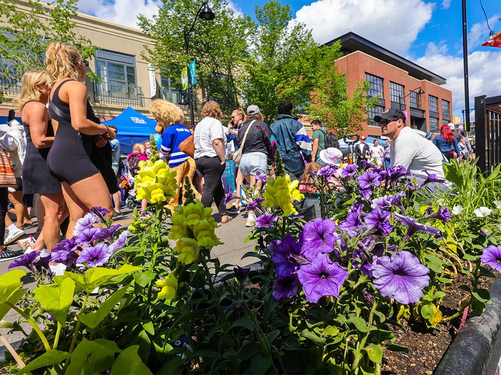 '4th Street is alive today': Calgarians flock to 34th Lilac Festival ...