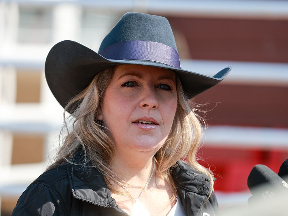 Calgary Stampede, U of C continue research into animal welfare ...