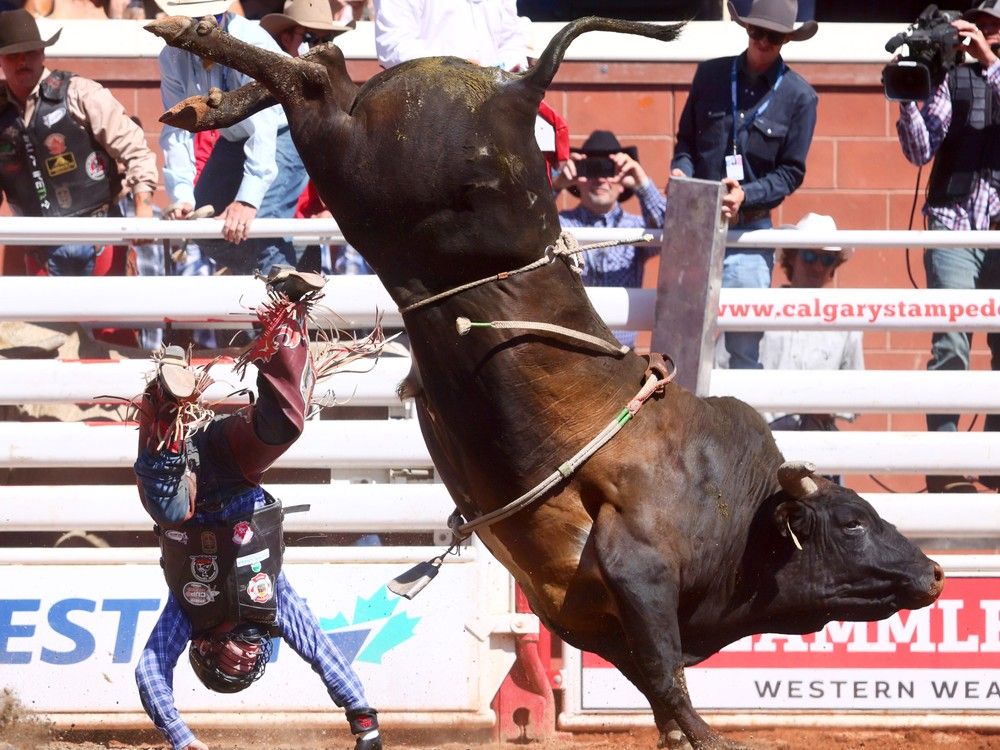 Calgary Stampede Rodeo 101: The ultimate guide, including Day 1 money ...