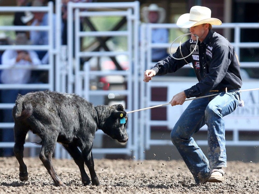 Calgary Stampede Rodeo 101: The ultimate guide, including Day 1 money ...