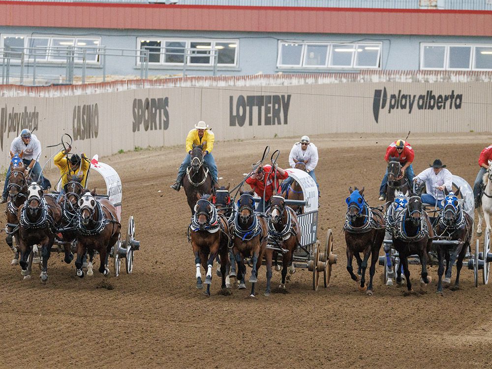 Calgary Stampede photos: Top moments from the rodeo and chuckwagons ...