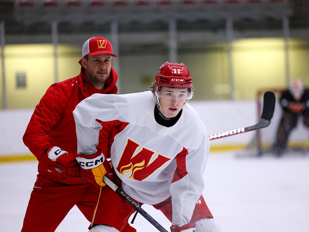 Is Brett Sutter a rising star in coaching ranks? The Flames believe so ...