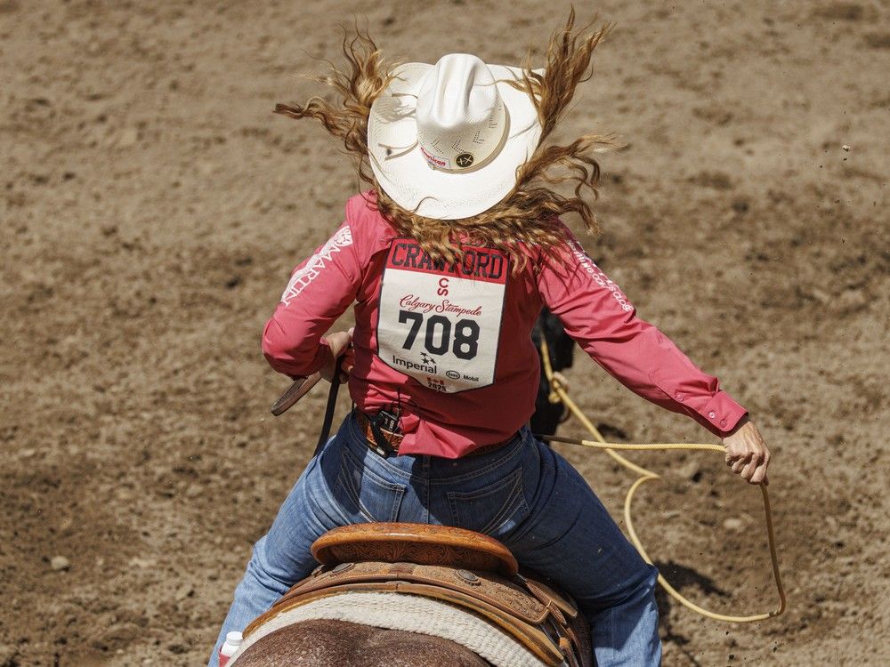 Canadian Editorial Cartoons - Political Jokes & Humour | Calgary Sun