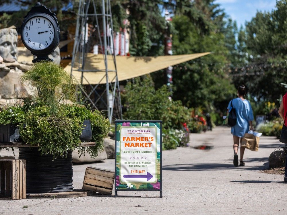 Saskatoon Farm announces reopening, infection numbers continue to rise ...