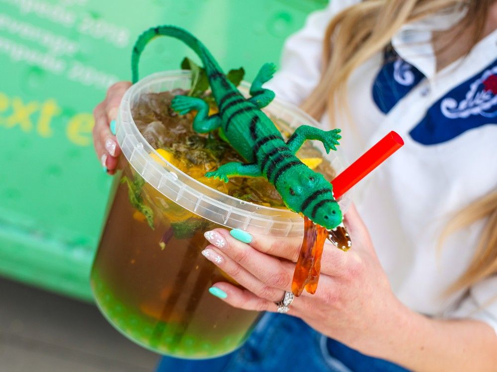 Graphic of the Week: Calgary Stampede midway food | Calgary Herald