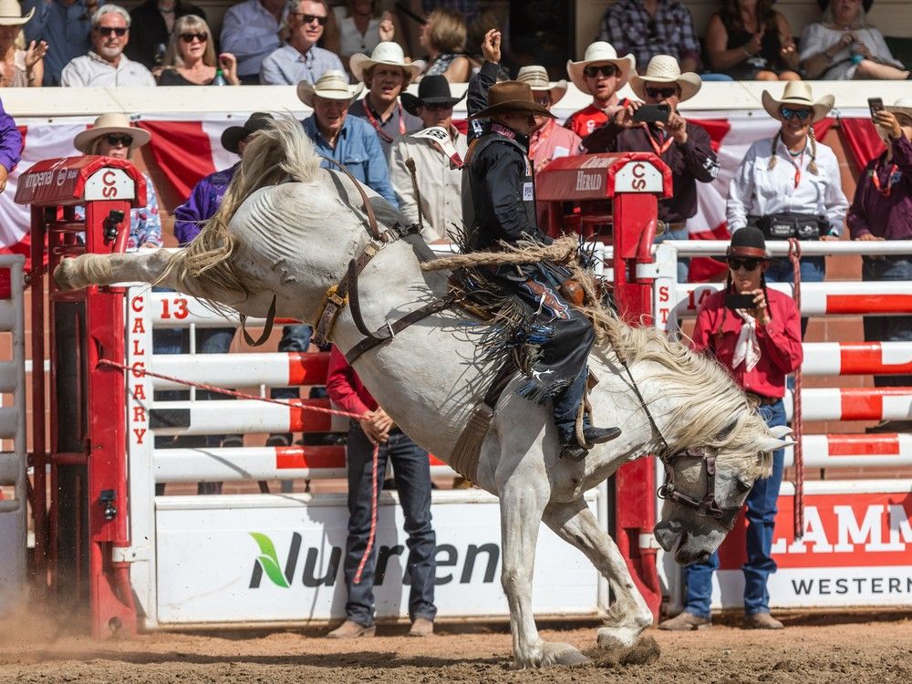 Final day at the Calgary Stampede rodeo: Champions crowned | Calgary Herald