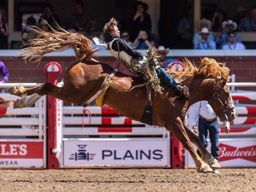 Teenage bull rider Grady Young reaches new heights at Calgary Stampede ...