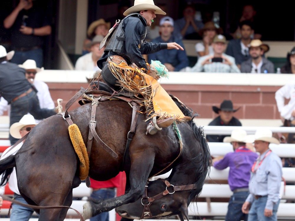 RODEO NOTES: Langdon cowgirl wins breakaway roping at Calgary Stampede ...