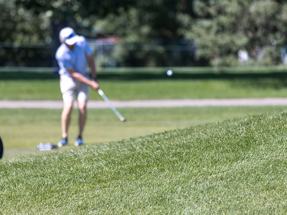 What's up with the conditions at the 2025 Rogers Charity Classic ...