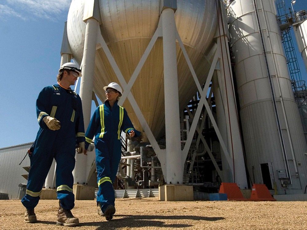 Cenovus said to be in talks with Indigenous groups for MEG Energy bid ...