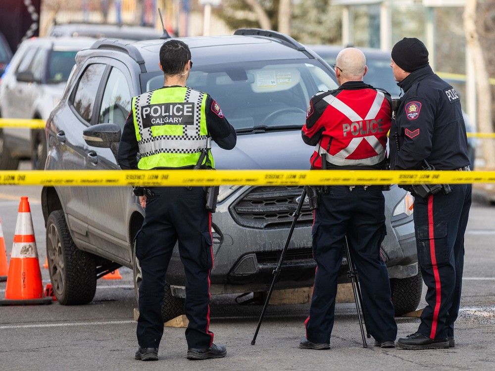 Leong: Province should crack down on reckless driving, fatal crashes ...