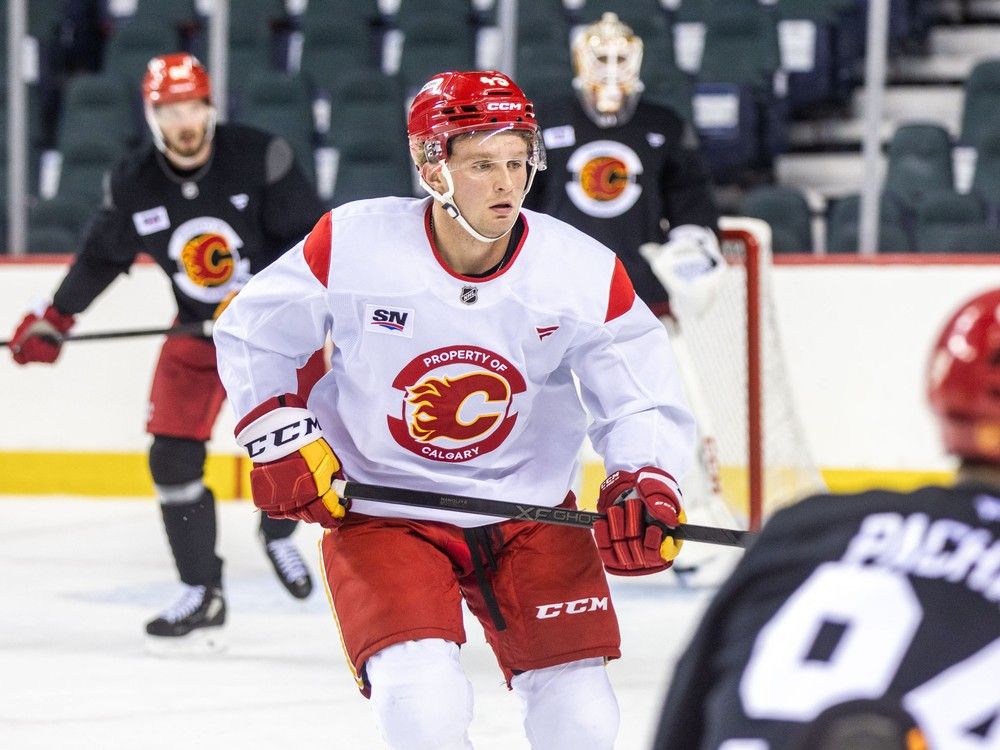 Flames prospects Basha, Morin among 13 players assigned to AHL ...