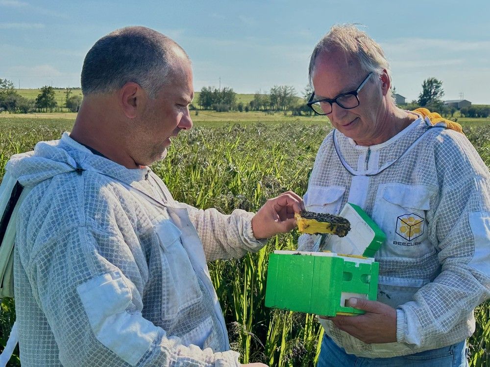 Calgary's lone Liberal MP-elect Corey Hogan reflects on election win ...