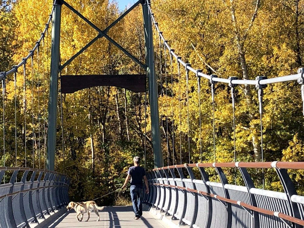 Nature and history abound in Sandy Beach, Elbow Park, and Britannia ...