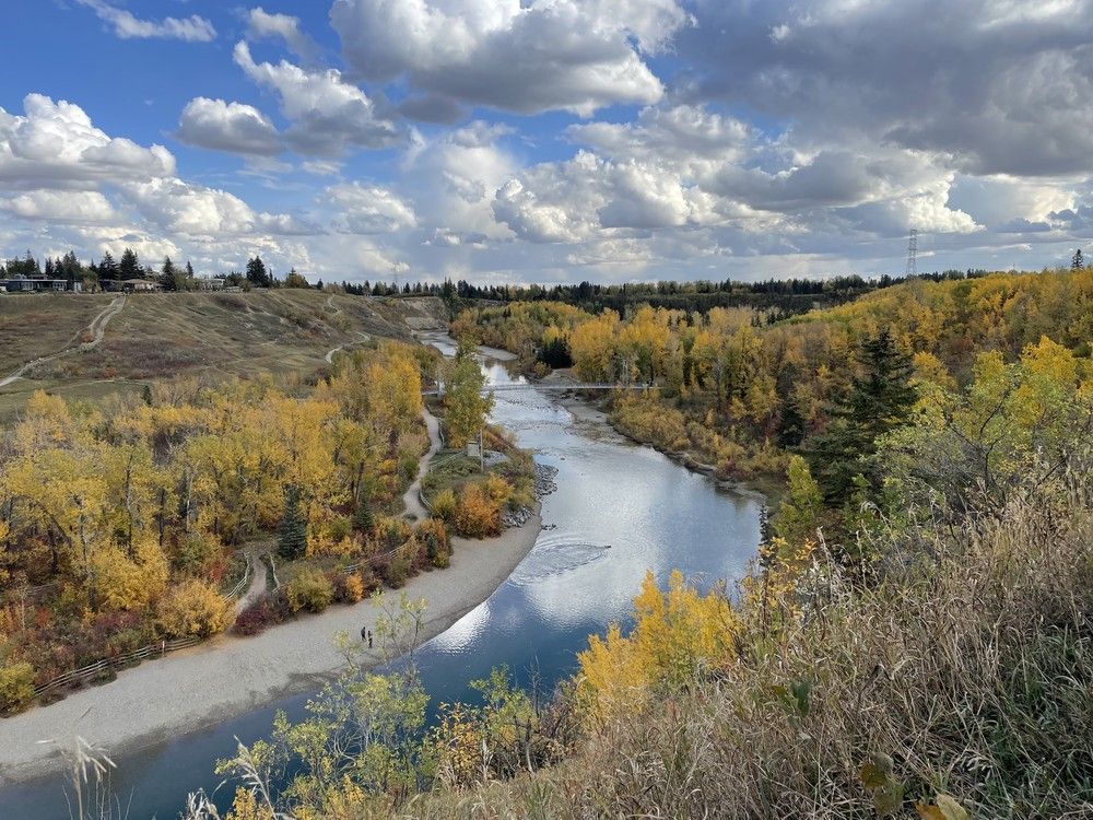 Nature and history abound in Sandy Beach, Elbow Park, and Britannia ...
