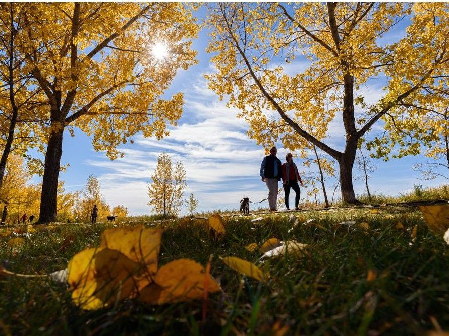 Calgary Walks 65 and 66 – Jackrabbit Trail and Weaselhead Flats Park ...