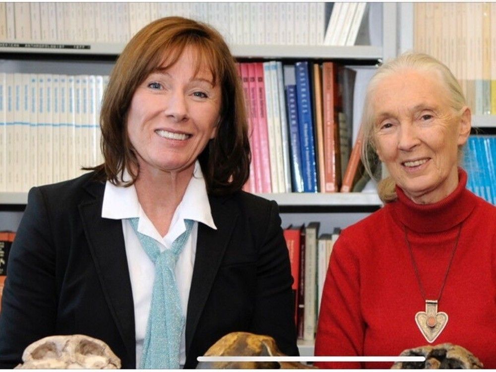 'Huge influence:' professor describes Jane Goodall's legacy at U of C ...