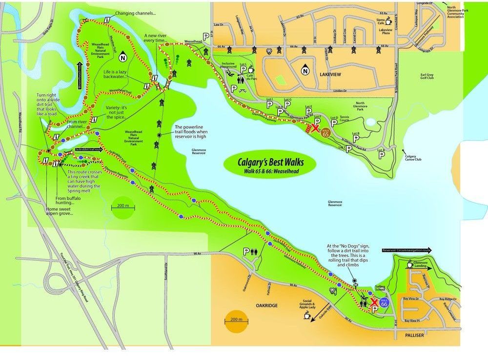 Calgary Walks 65 and 66 – Jackrabbit Trail and Weaselhead Flats Park ...