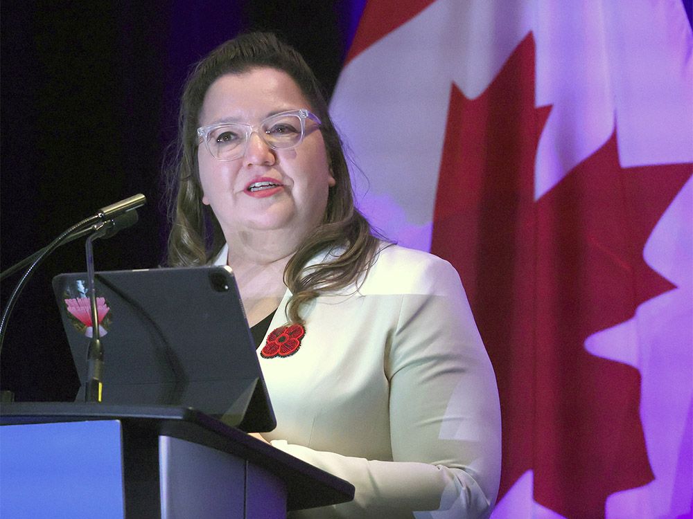 Federal budget 'missed opportunity' for First Nations: national chief ...
