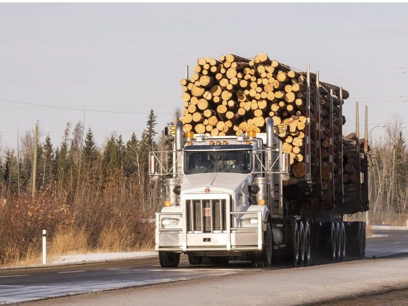 Managing a matchstick forest | Calgary Herald