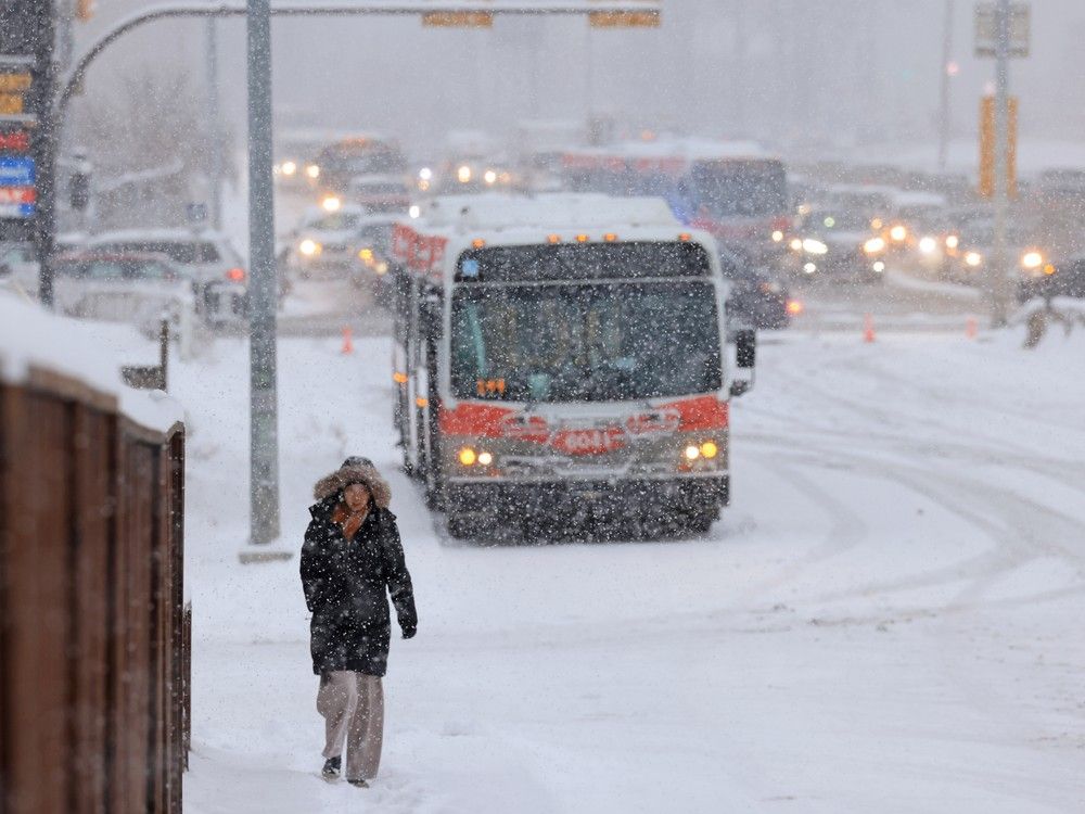 Calgary responds to heavy snowfall with transit detours, snow clearing ...