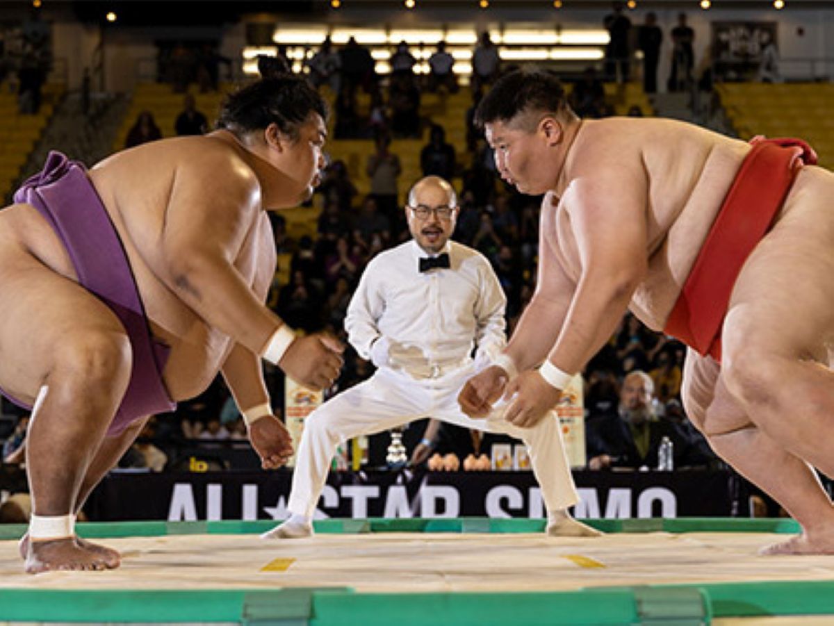 Calgary to host Canada's first-ever Sumo festival | Calgary Herald