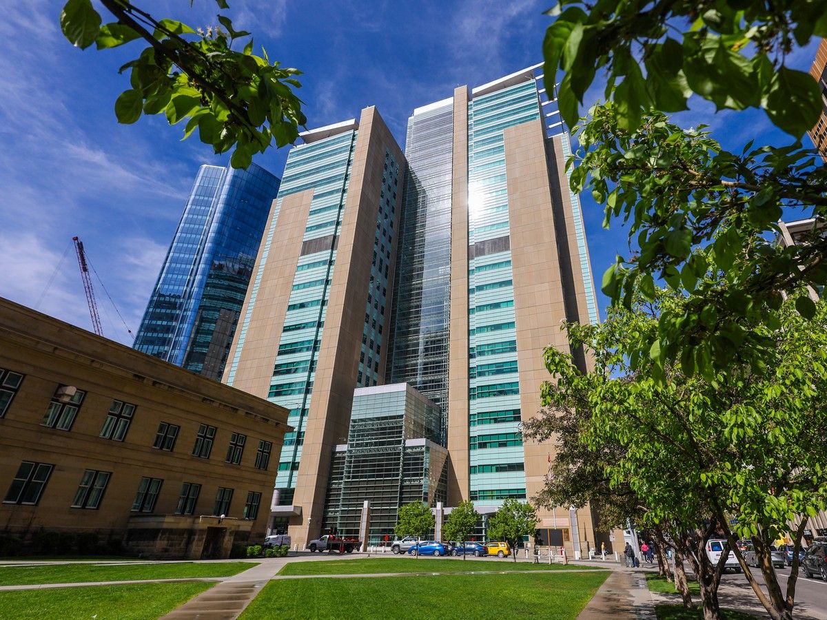 Crown seeks 10-year prison term for Calgary serial rabbit killer ...