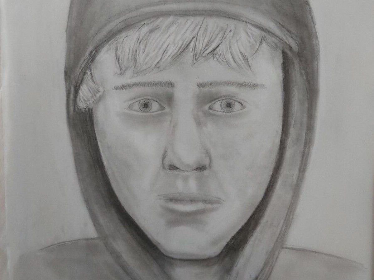 CPS release sketch of sexual assault suspect | Calgary Herald