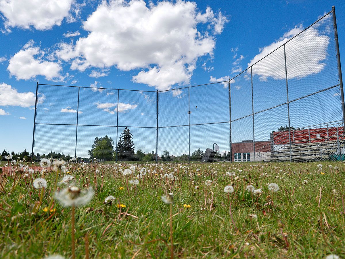 Calgary baseball diamond receiving major upgrade thanks to Blue Jays ...