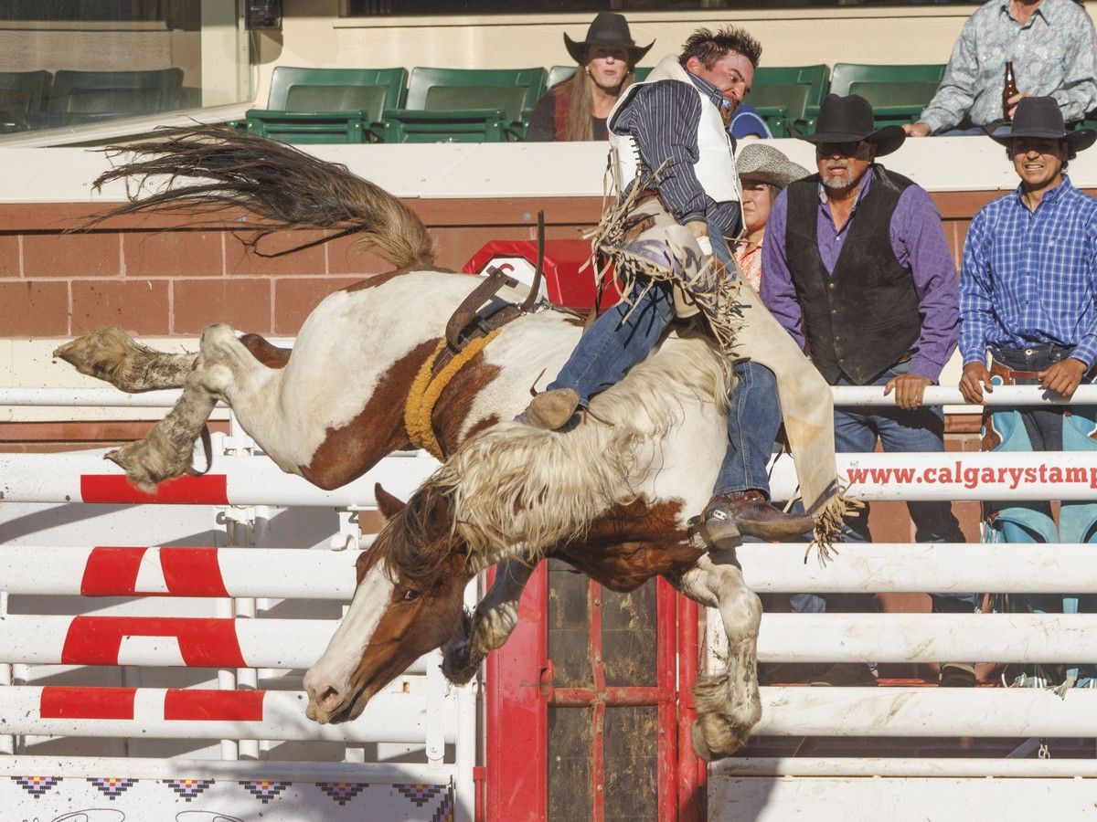 Calgary Stampede First Nations Rodeo, Relay brings exciting new ...