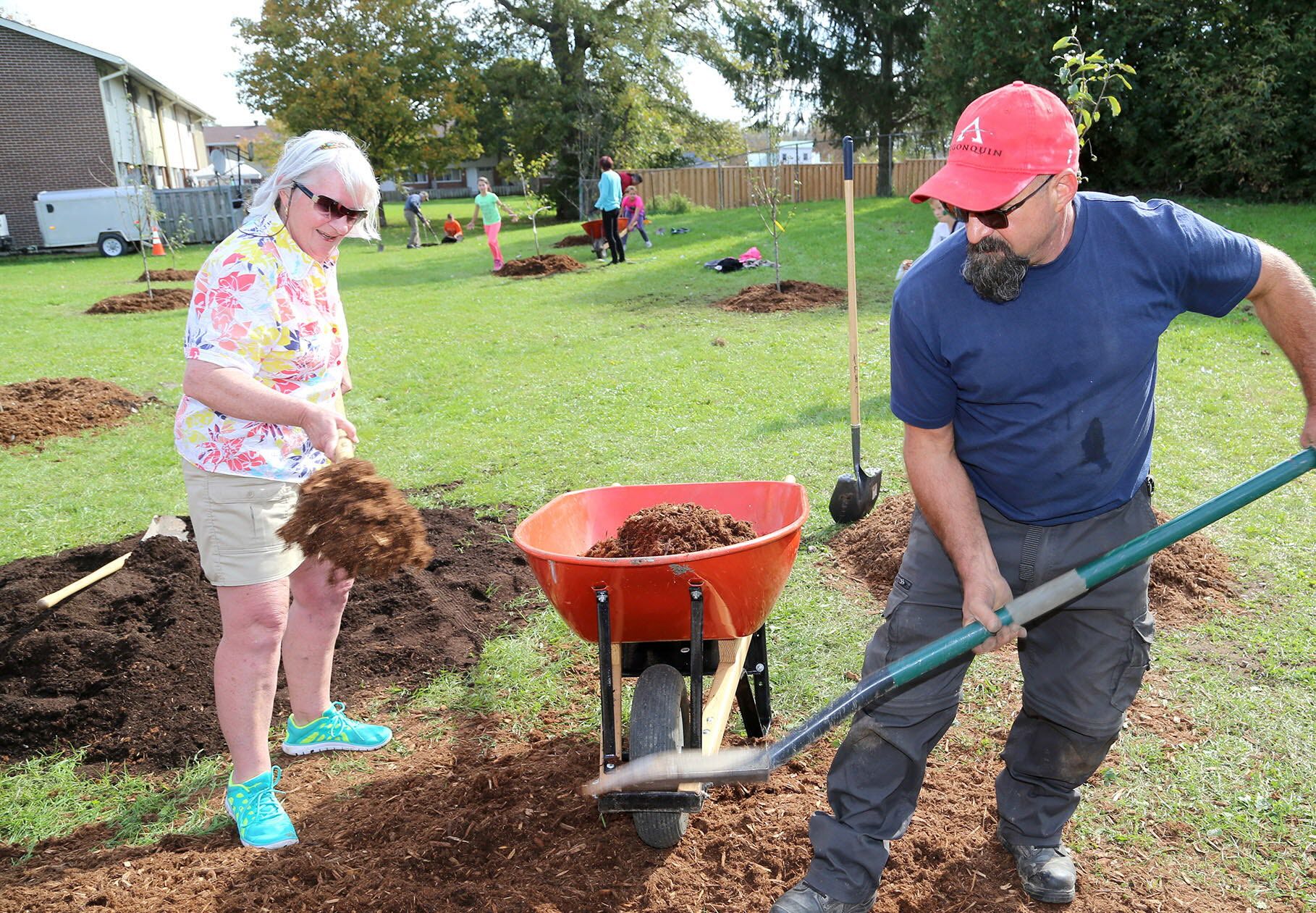 Start planning your spring landscape projects | Calgary Sun