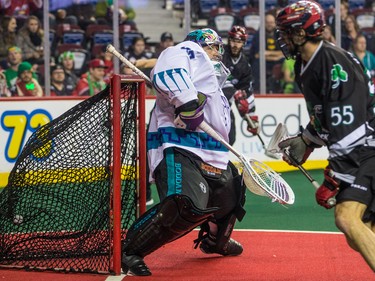 Gallery: Roughnecks and Knighthawks | Calgary Sun