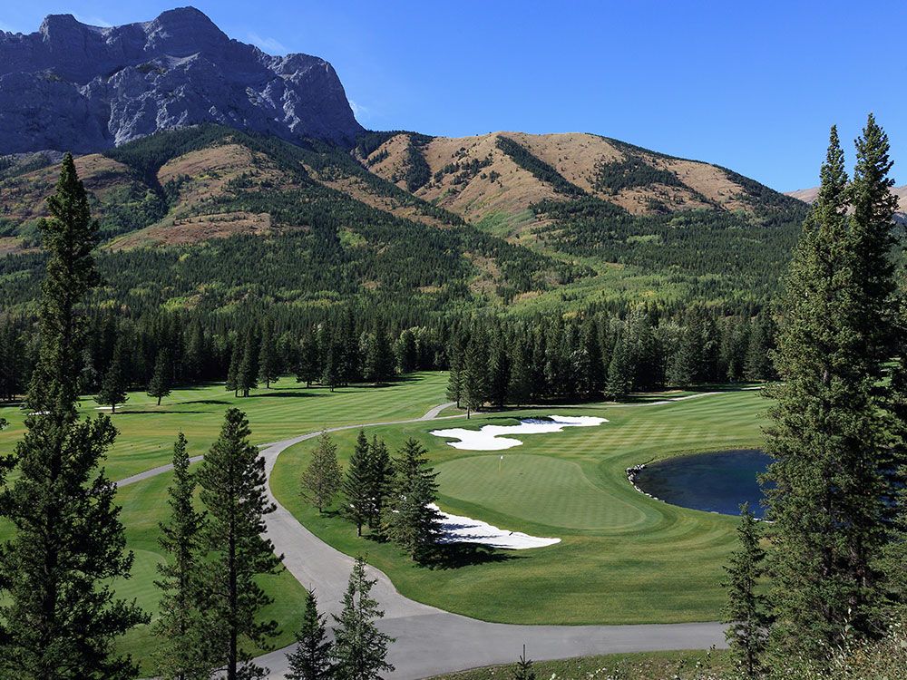 Kananaskis golf course on grizzly alert | Calgary Sun