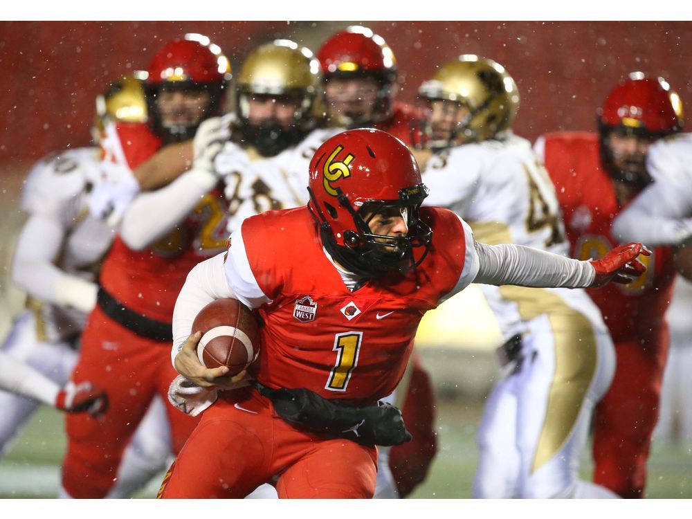 No time to slow down for undefeated Dinos football squad | Calgary Sun
