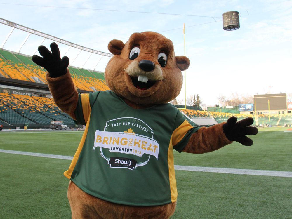 Gerry Forbes: Shoutout to Edmonton for coming Grey Cup festivities ...