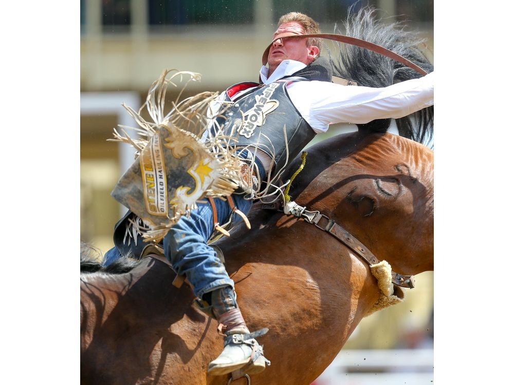 Airdrie's Jake Vold sets sights on first Calgary Stampede championship ...