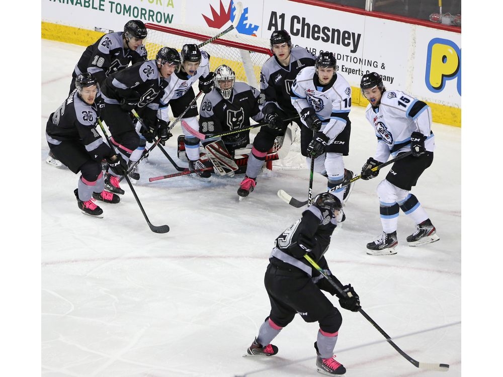 Calgary Hitmen, WHL put plans in place for Oct. 2 start-date | Calgary Sun